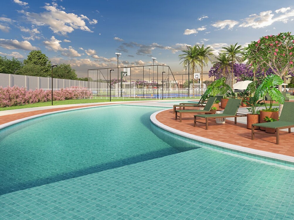 Raízes Impperial | Grupo Impper